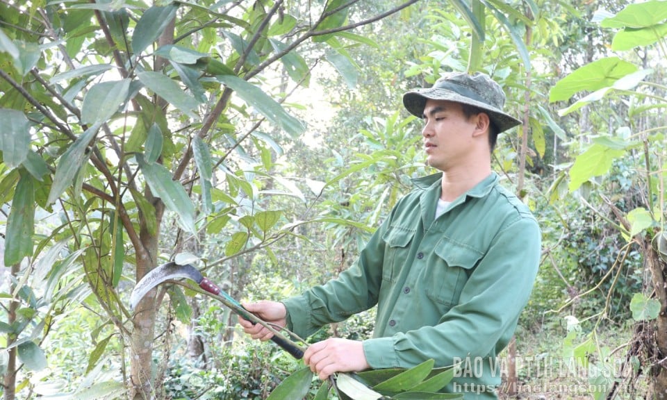 Tan Tri develops production.