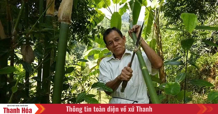 Sustainable poverty alleviation through suitable livelihood models.