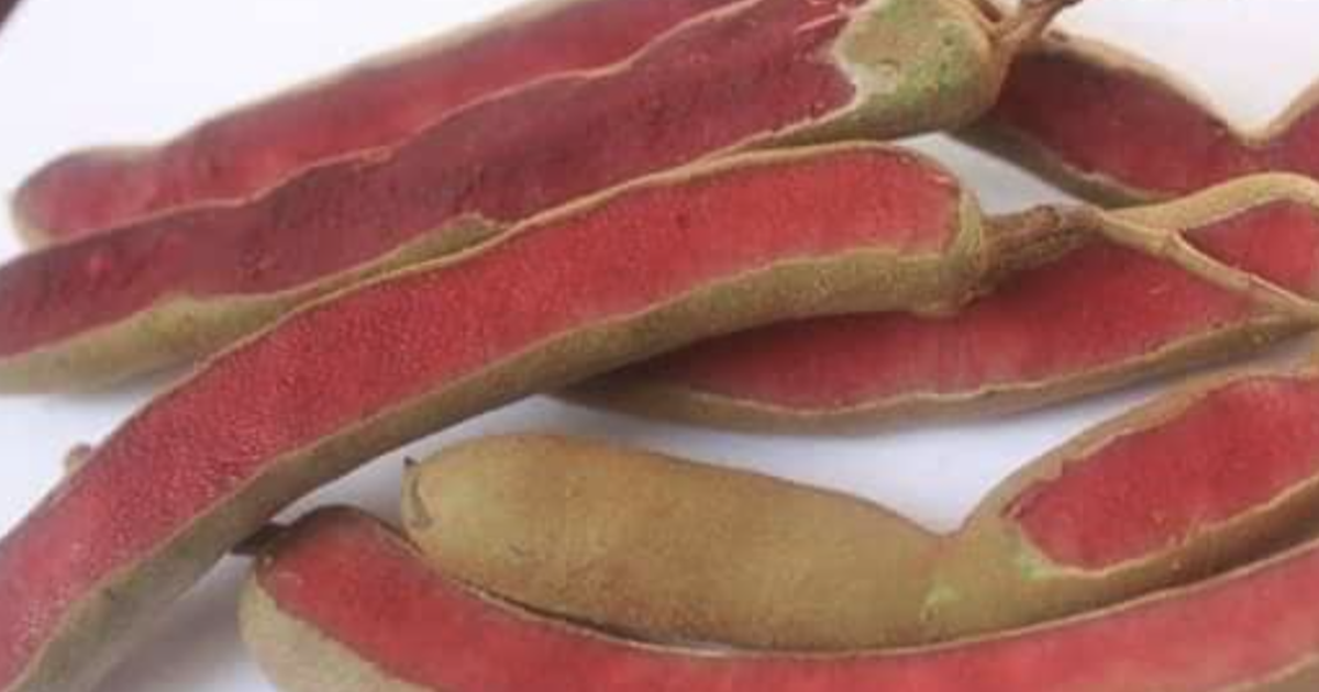 Unique red-fleshed tamarind, netizens mistakenly think it's AI-created ...