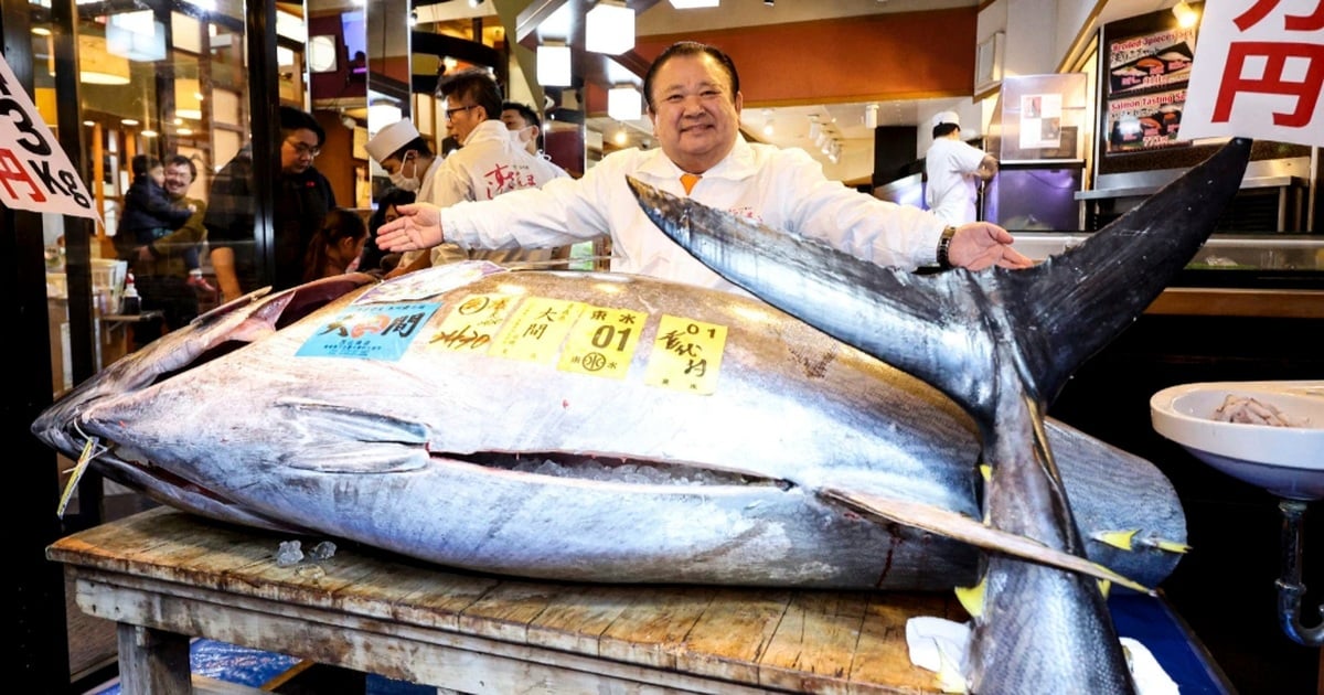 Over 85 billion VND for a single tuna: A shocking deal at a Japanese ...