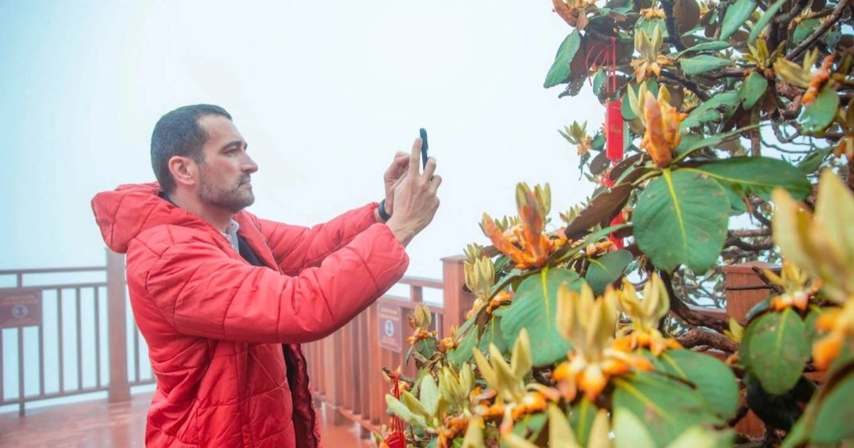 Snow-covered Fansipan, Sa Pa becomes Asia's fastest-growing destination.