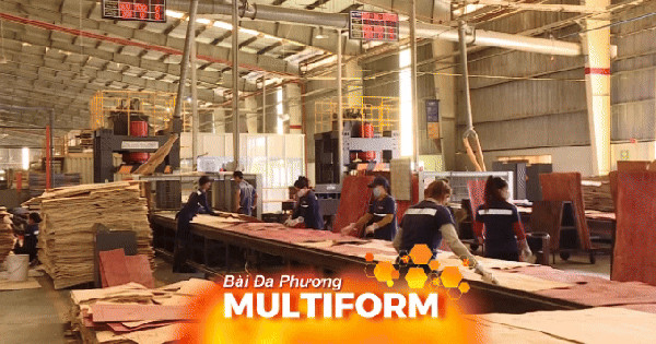 Businesses in Ho Chi Minh City proactively increase the regional ...