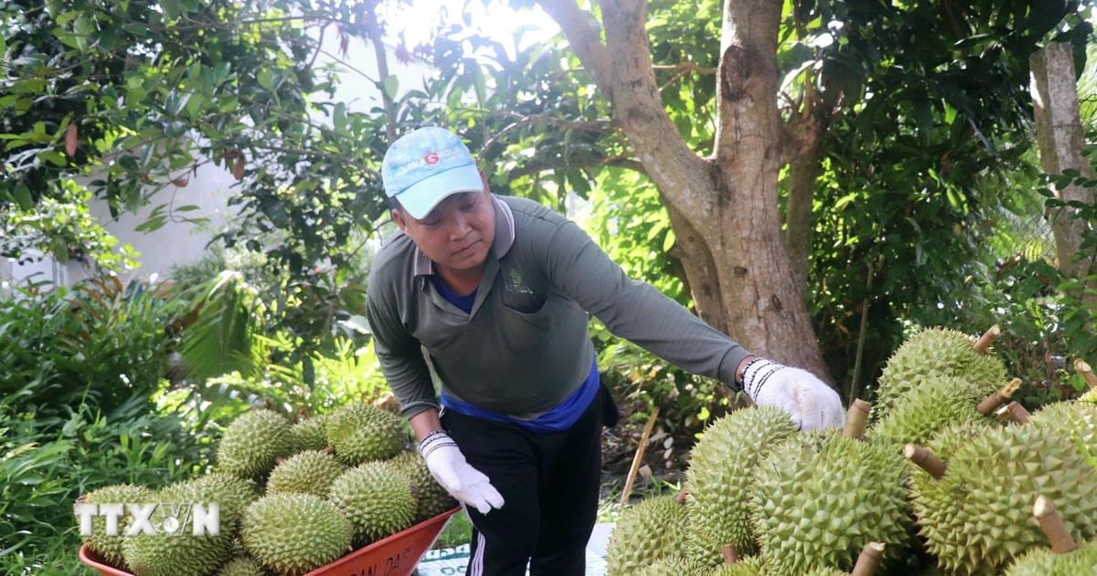 The agricultural product traceability system will be piloted by the end of 2026.