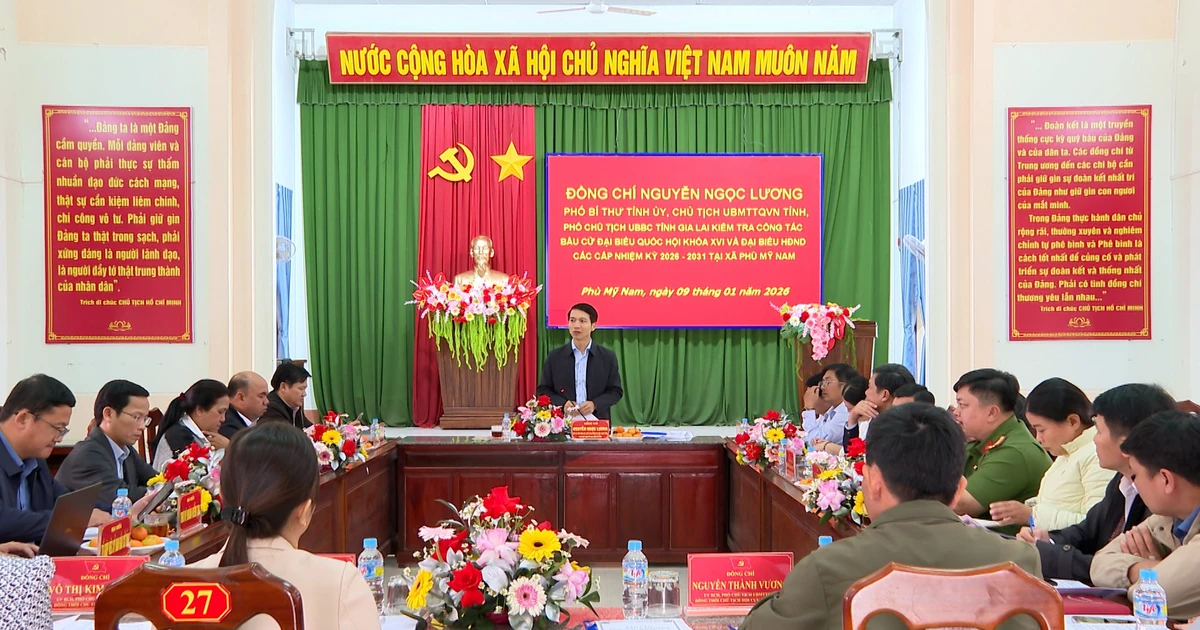 Deputy Secretary of the Provincial Party Committee Nguyen Ngoc Luong ...