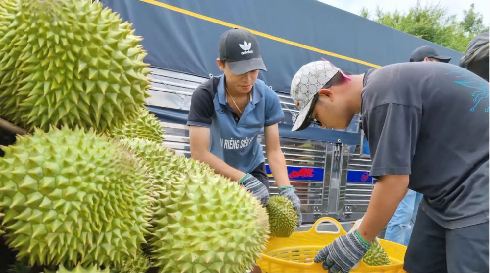 Agricultural product traceability according to the new roadmap.