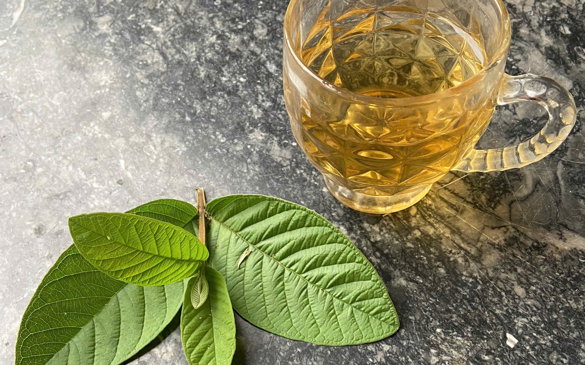 5 medicinal benefits of guava leaf juice: What happens if you drink ...