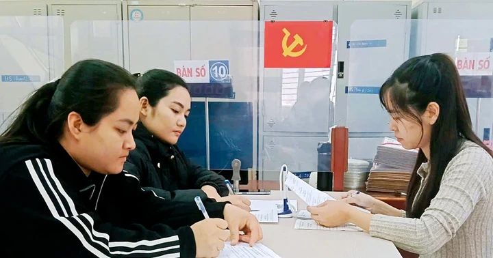 Centro de Servicios de Empleo Vinh Phuc: Un puente hacia el mercado laboral