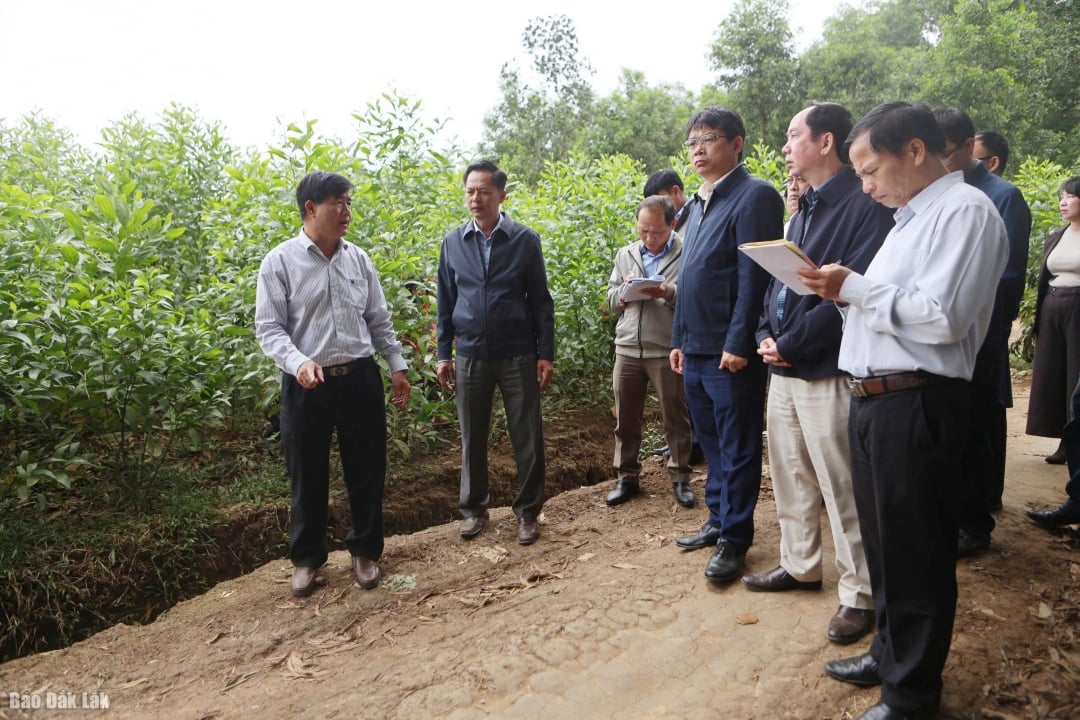Field inspection of the resettlement area for residents relocated from ...