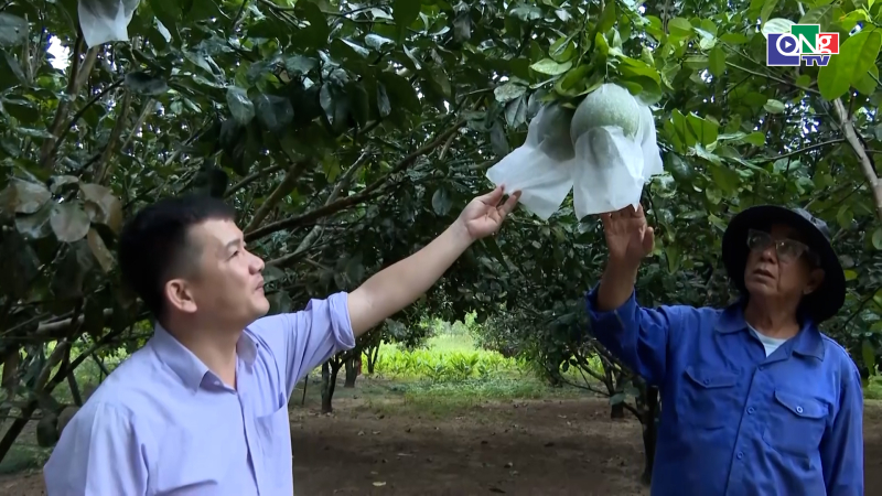 Developing perennial crops yields high economic returns.