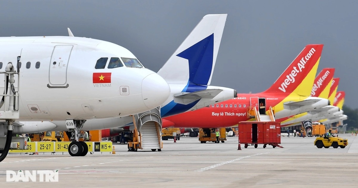 SunGroup arrives, Vietravel departs: The aviation industry enters a ...