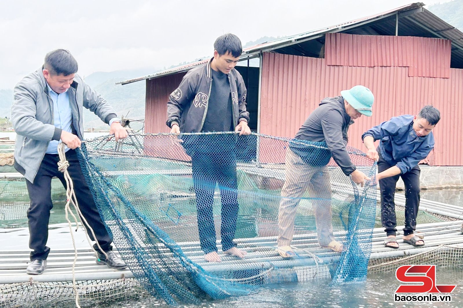 Making a fortune from cage fish farming on the lake.