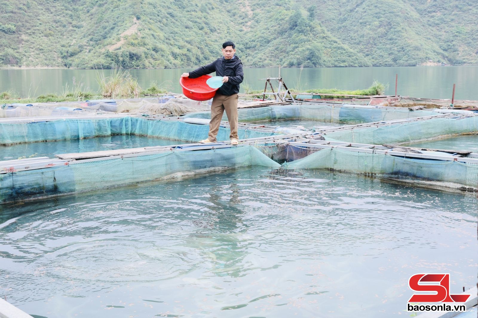 Making a fortune from cage fish farming on the lake.
