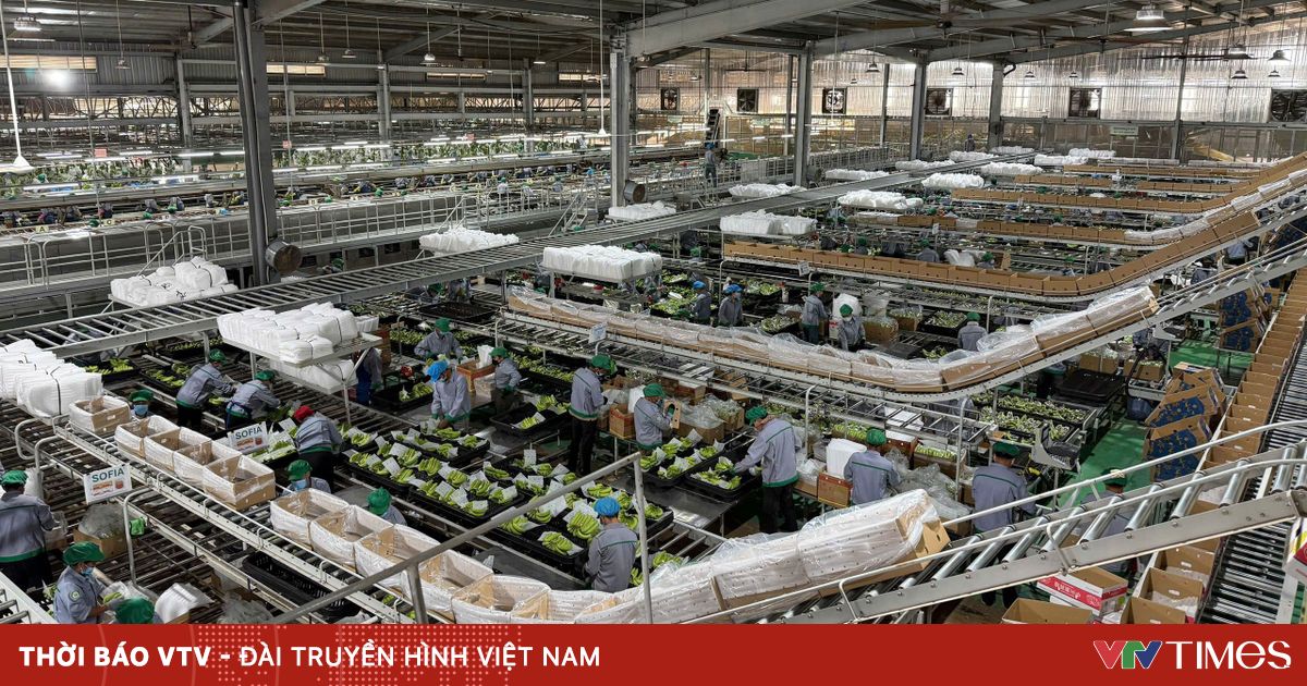New agricultural model: Closed-loop supply chain