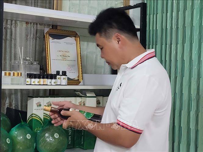 The young director takes Song Xoai green-skinned pomelos to a wider market.