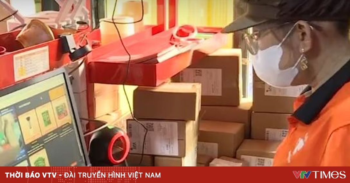 Building Vietnamese brands on global e-commerce platforms.
