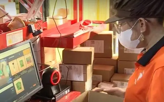 Het opbouwen van Vietnamese merken op wereldwijde e-commerceplatforms.