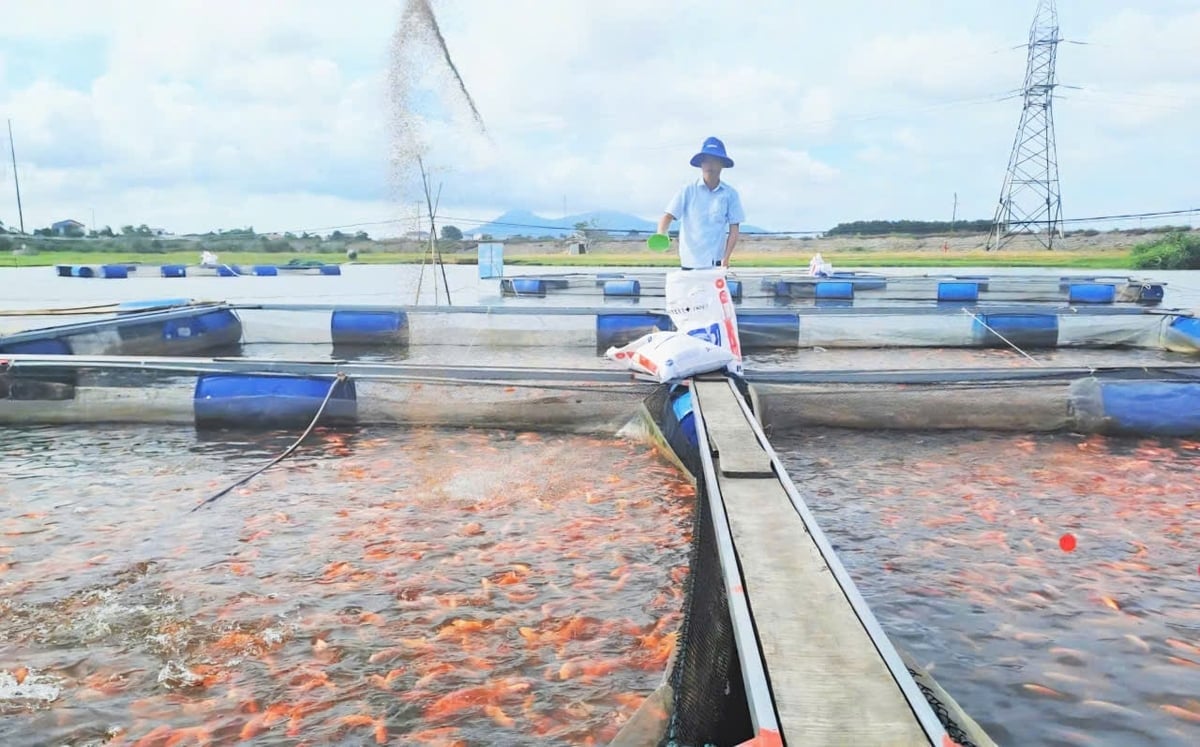 Aquaculture in irrigation and hydropower reservoirs: Untapped potential.