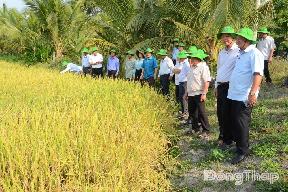 Leveraging rural industries to take off.