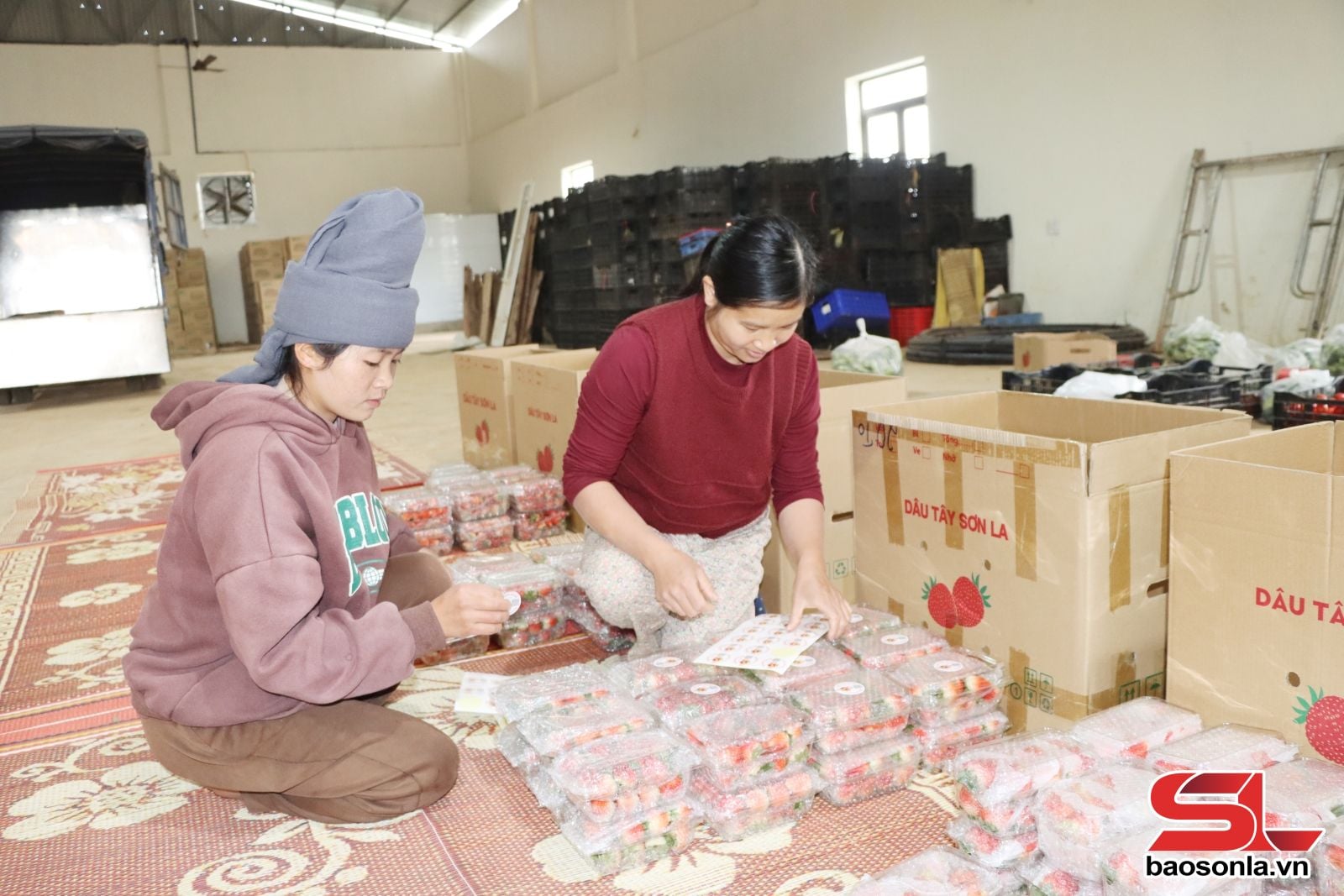 Linking production and consumption of products.