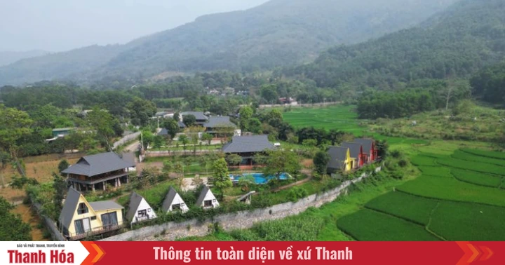 Latest tips for choosing homestays and resorts when traveling to Luong ...
