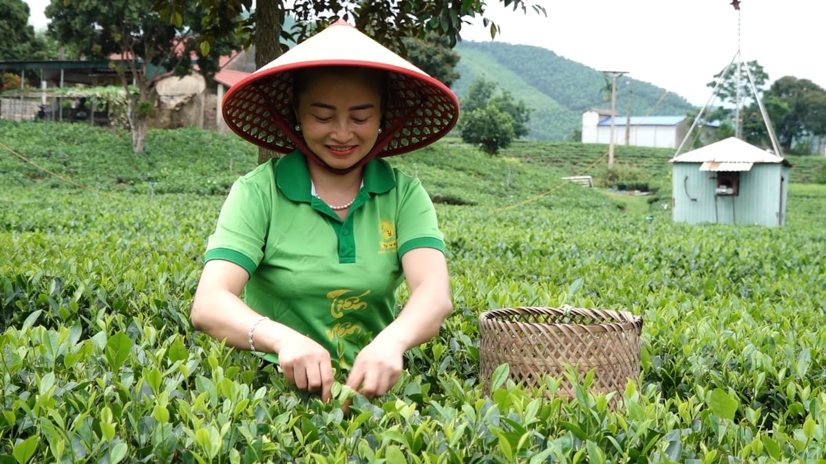 Thai Nguyen implements comprehensive digital transformation in ...
