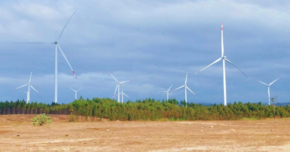Gia Lai invites investment in 3 mega wind power projects worth over ...