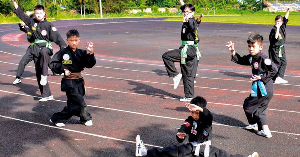 Ca Mau: Implementing the Strategy for the Development of Physical ...