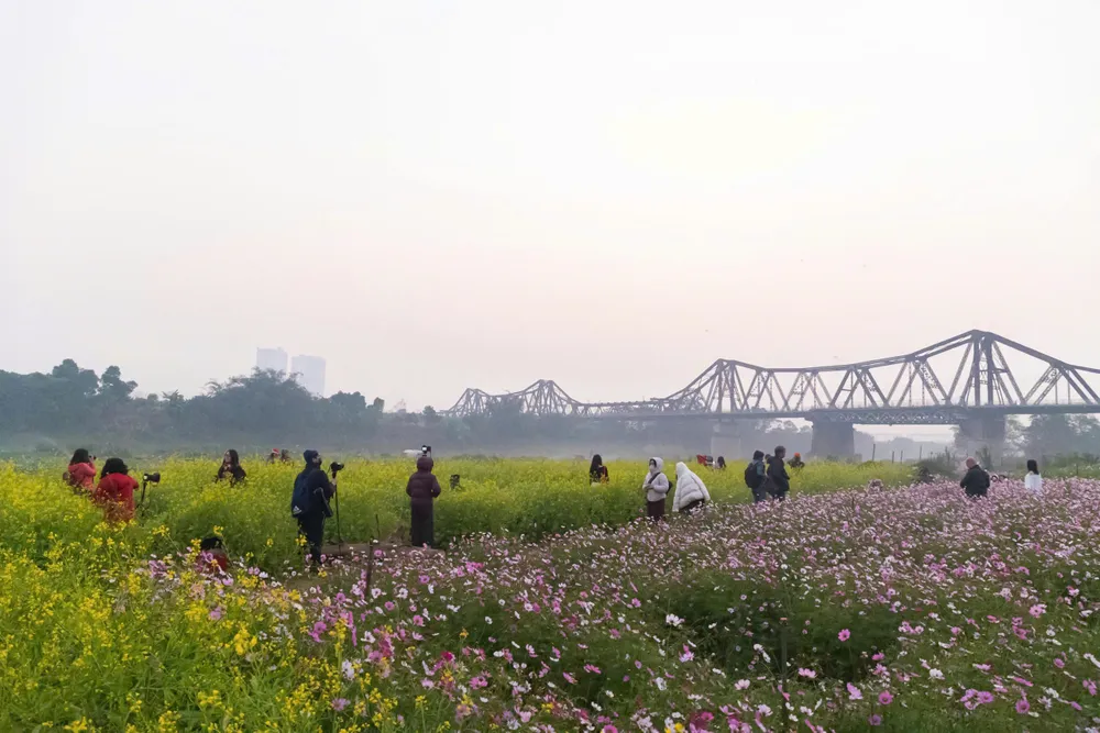 Émerveillée par le magnifique jardin fleuri qui borde le pont ...
