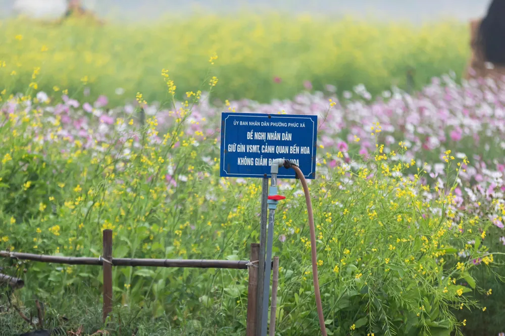 Amazed by the vibrant flower garden beside the over 100-year-old bridge ...