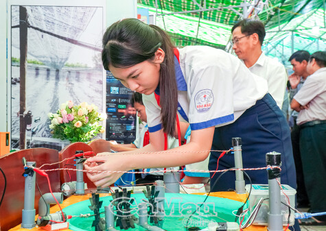 Over 220 projects participated in the provincial-level Science and ...