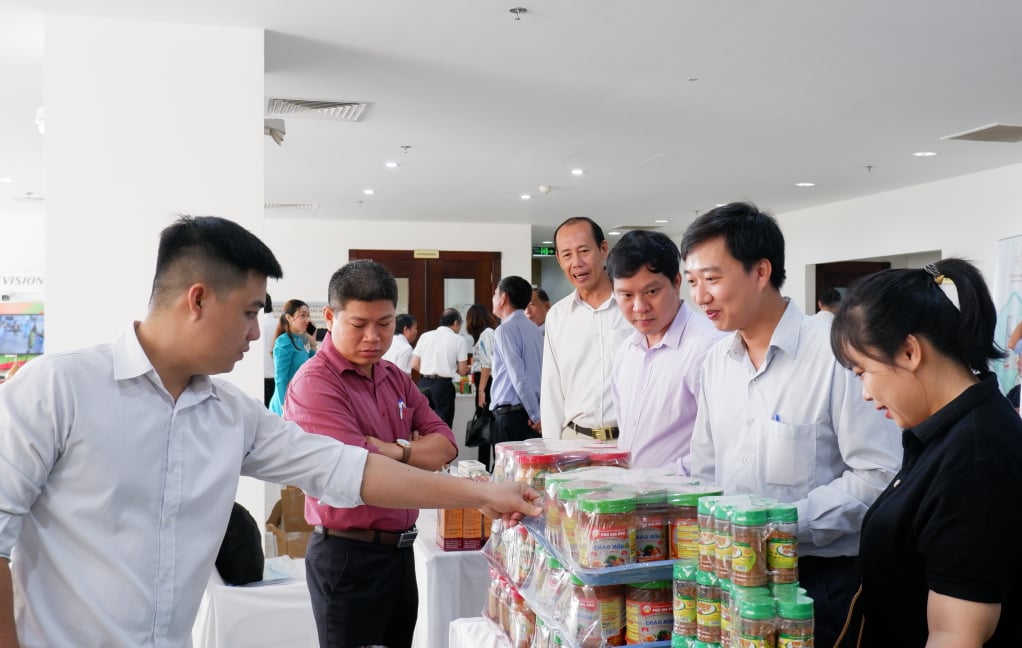 Industrial promotion - A driving force for green transformation and ...