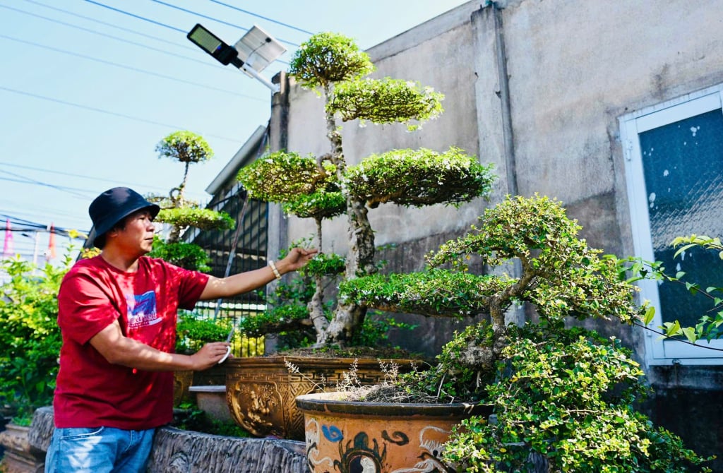 From a shoeshine boy to the "golden hands" of bonsai.