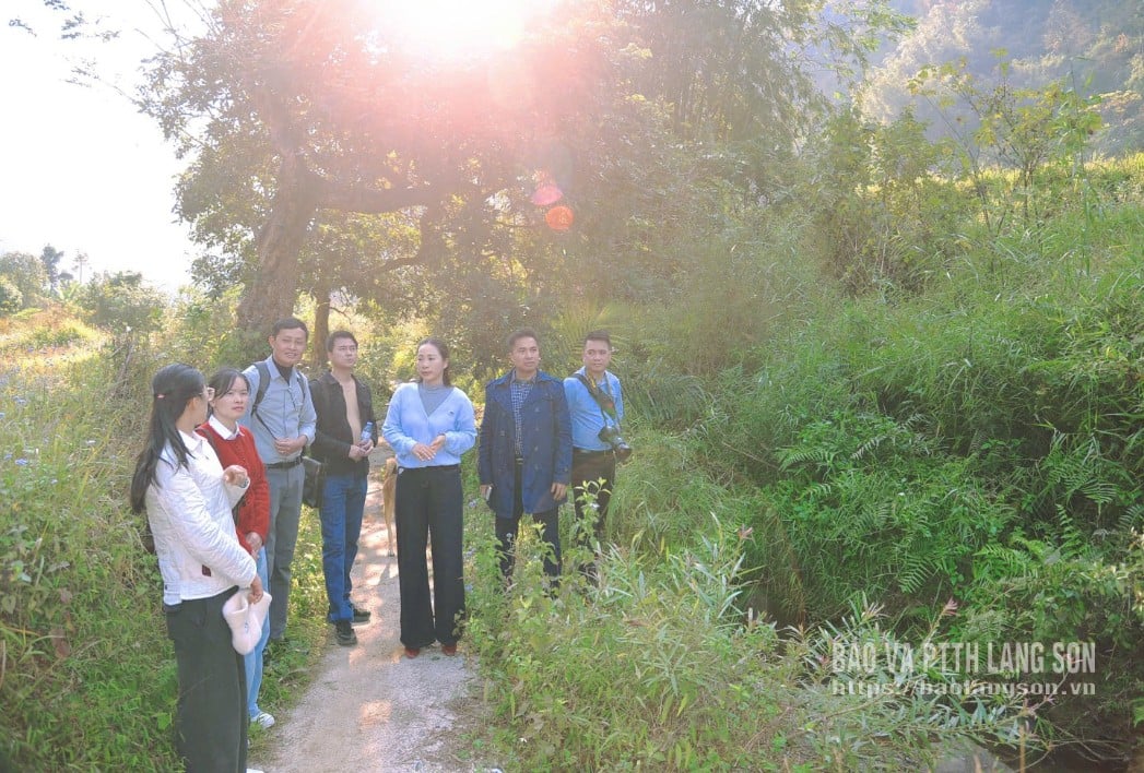Étude du potentiel de développement de l'écotourisme dans le village de ...