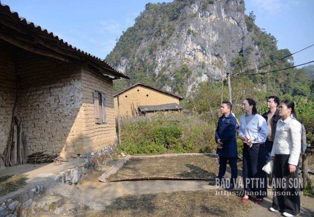 Étude du potentiel de développement de l'écotourisme dans le village de ...