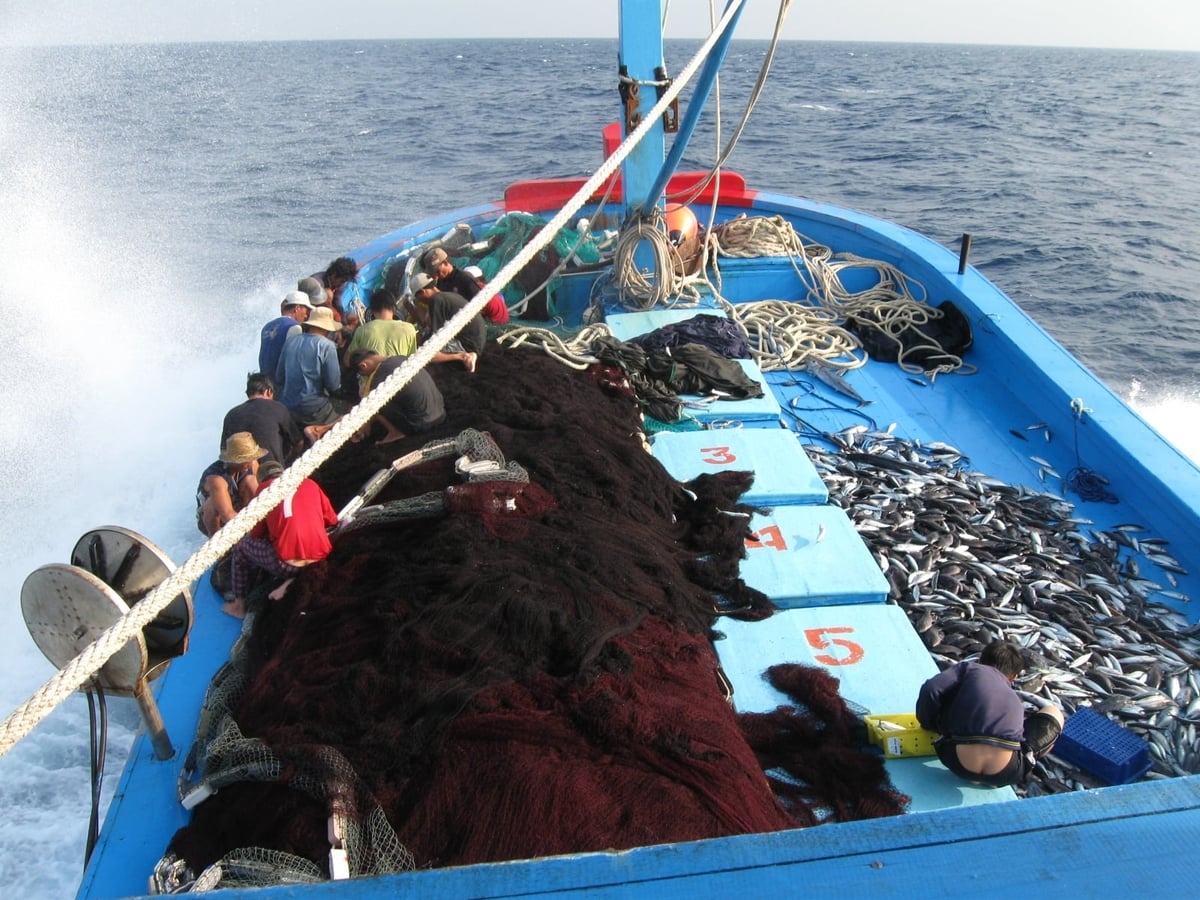 Automatic warning system when fishing vessels cross the 'red line'.