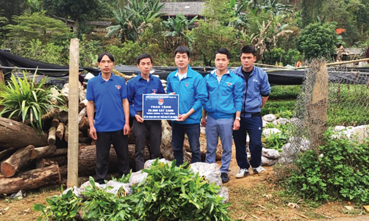 Young people join hands "For a green Vietnam" - Cao Bang Online Newspaper