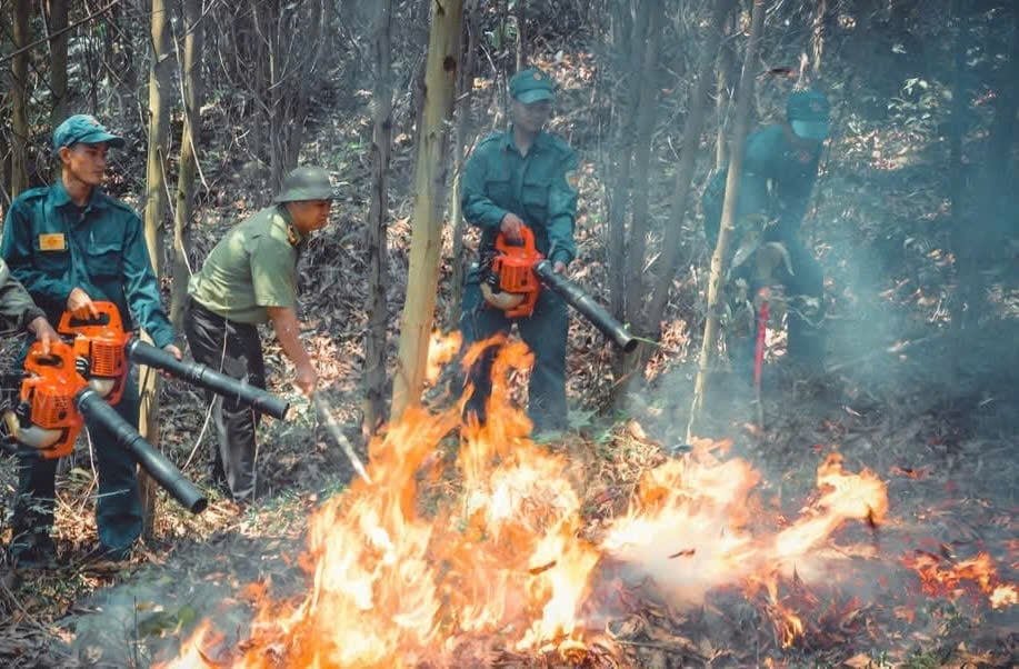 Da Nang spends nearly 20 billion VND on AI applications for forest fire ...