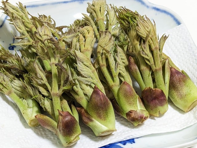 En Vietnam, una verdura silvestre se considera el "manjar número uno ...