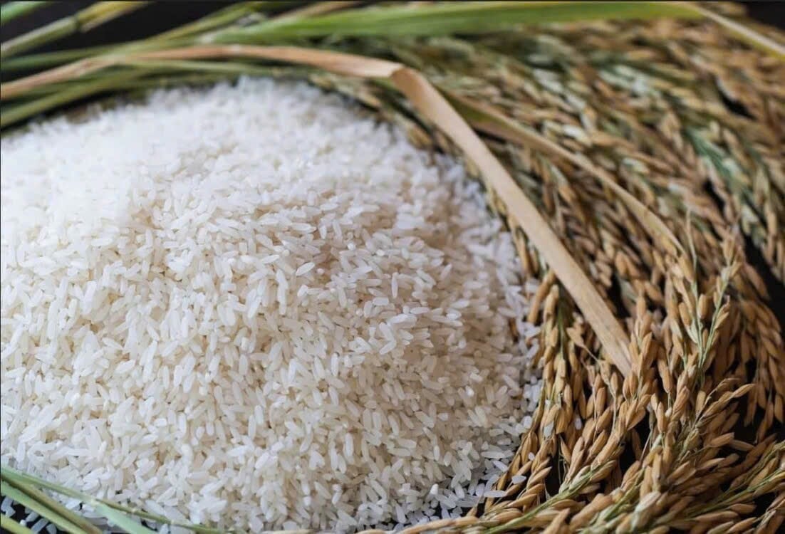 Rice prices today, January 16th: Raw rice prices increased slightly ...