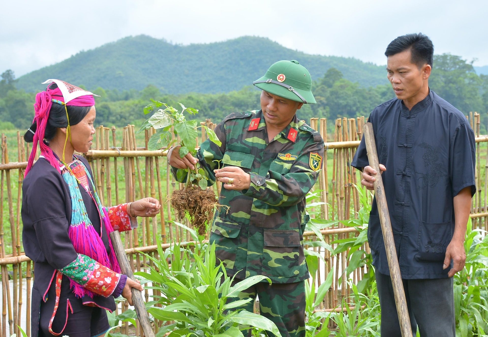 Implement the nationwide education and propaganda project on the Army's ...