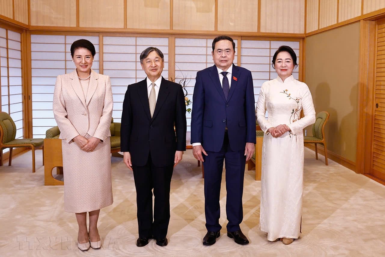 Speaker of the National Assembly: The National Assembly's foreign ...