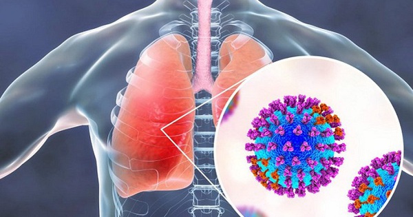 Soins aux patients atteints de pneumonie virale.