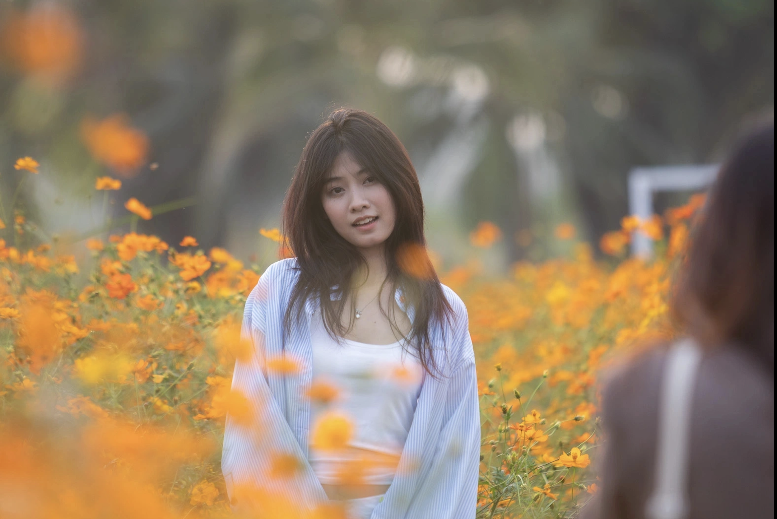 Young people transform into muses in a 12,000m2 flower field in the ...