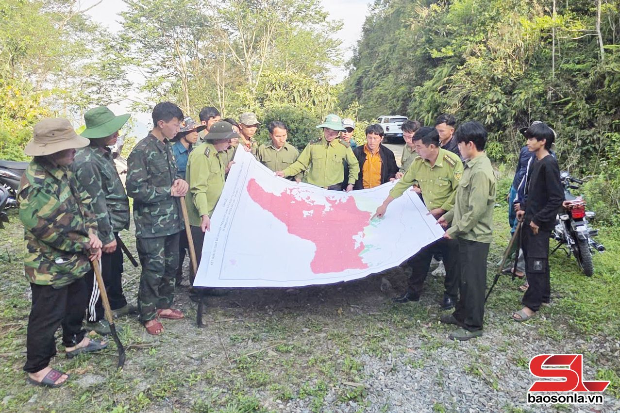"Oro verde" en las tierras altas de Ta Xua