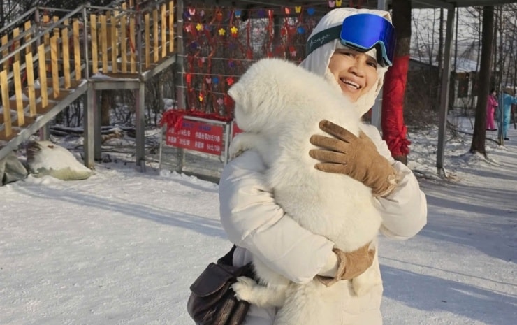 Harbin: Experience hugging a warm snow fox amidst freezing temperatures ...