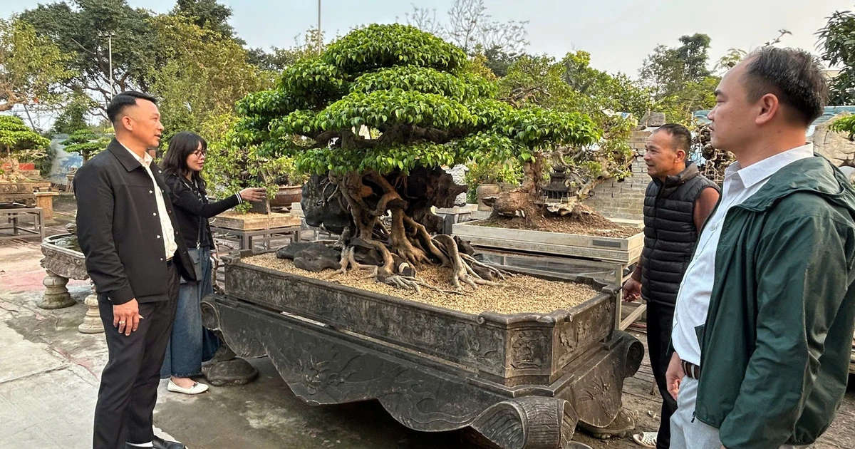 Hanoi: Desarrollo del turismo comunitario a lo largo del Río Rojo en la ...