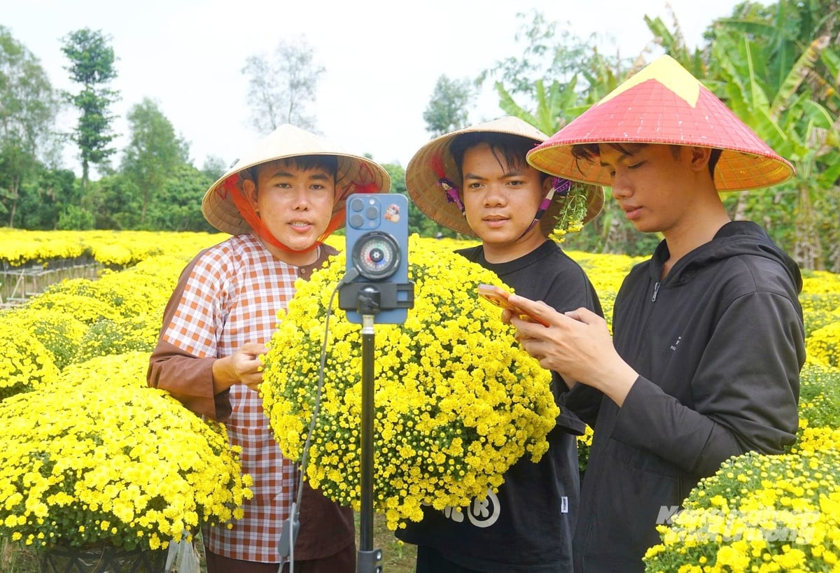 Penjualan bunga melalui siaran langsung - Sebuah 'penyelamat' yang ...