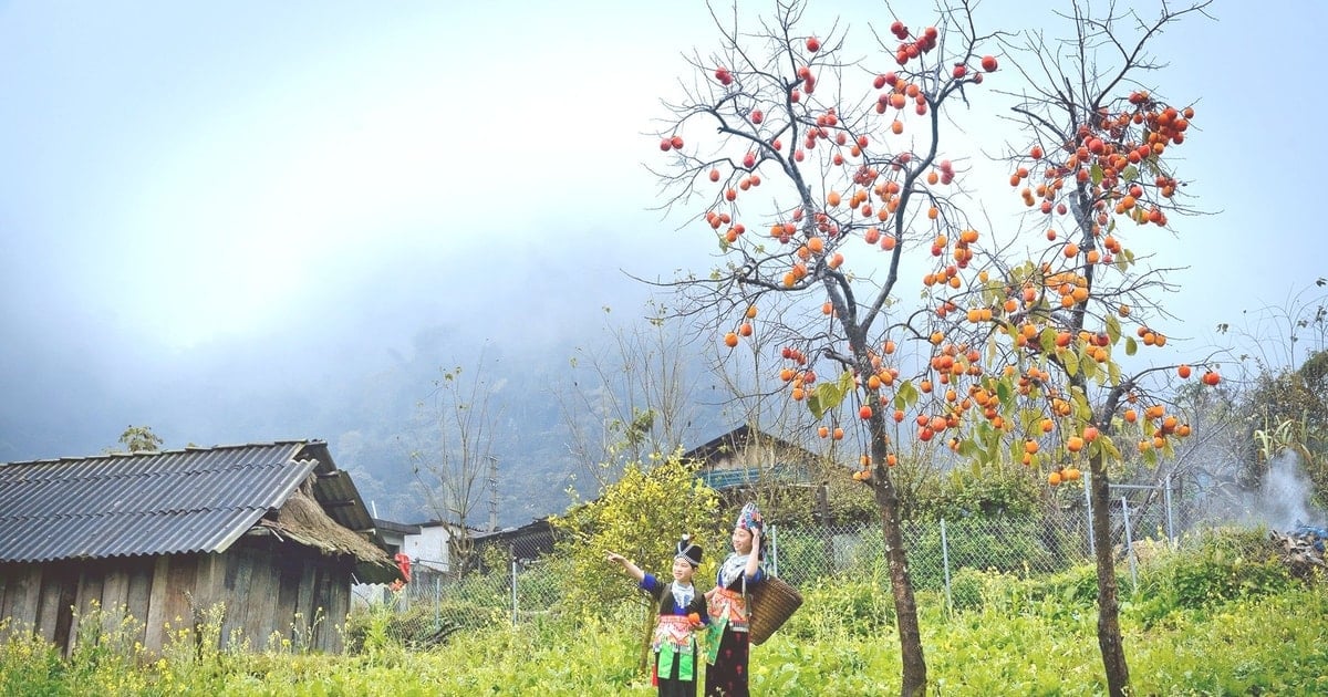 Prakiraan cuaca untuk Nghe An pada tanggal 26 Januari: Hujan dan kabut ...