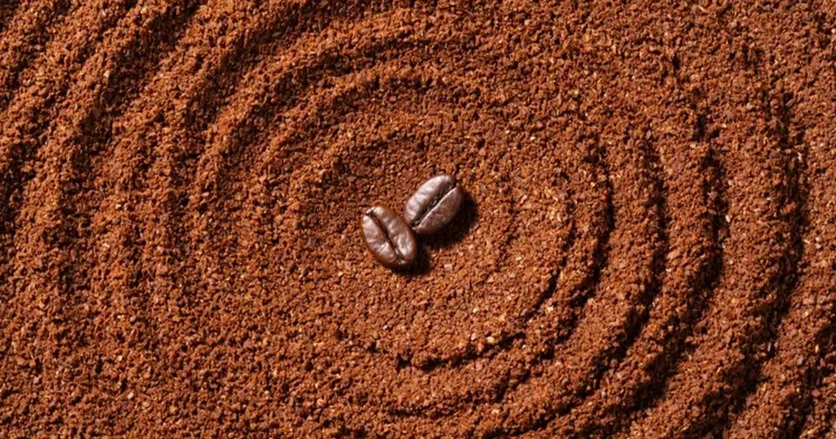 Café en grains ou café moulu : lequel est le plus riche en antioxydants