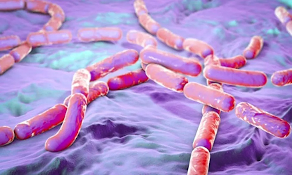 A familiar type of bacteria is linked to the recall of a batch of milk ...